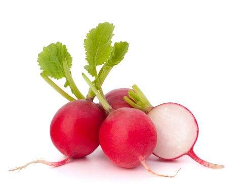 Radishes Cello (1 lb) (jit) – Pantree Food Service